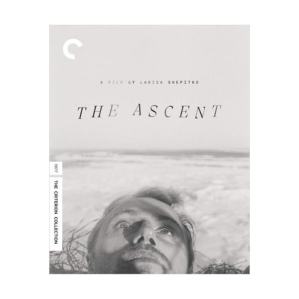 輸入盤ブルーレイですが日本のブルーレイ・プレイヤーで視聴できます。※ご確認ください※一部輸入版アニメブルーレイには、「リージョンコード」とは別の「国コード」というものが設定されている作品がございます。お持ちのブルーレイ・プレイヤーが国コード...