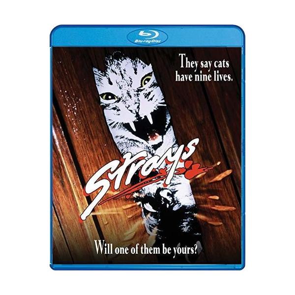 輸入盤ブルーレイですが日本のブルーレイ・プレイヤーで視聴できます。※ご確認ください※一部輸入版アニメブルーレイには、「リージョンコード」とは別の「国コード」というものが設定されている作品がございます。お持ちのブルーレイ・プレイヤーが国コード...