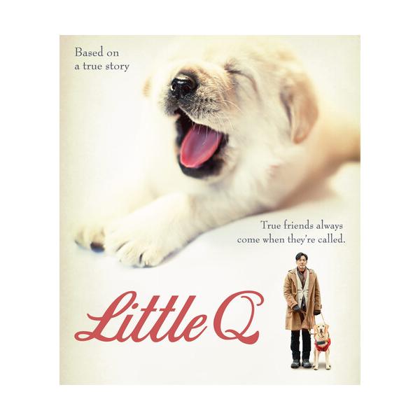 輸入盤ブルーレイですが日本のブルーレイ・プレイヤーで視聴できます。※ご確認ください※一部輸入版アニメブルーレイには、「リージョンコード」とは別の「国コード」というものが設定されている作品がございます。お持ちのブルーレイ・プレイヤーが国コード...