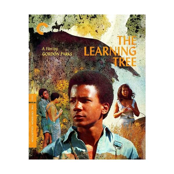 輸入盤ブルーレイですが日本のブルーレイ・プレイヤーで視聴できます。※ご確認ください※一部輸入版アニメブルーレイには、「リージョンコード」とは別の「国コード」というものが設定されている作品がございます。お持ちのブルーレイ・プレイヤーが国コード...