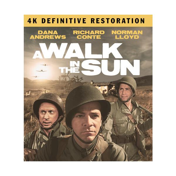 輸入盤ブルーレイですが日本のブルーレイ・プレイヤーで視聴できます。※ご確認ください※一部輸入版アニメブルーレイには、「リージョンコード」とは別の「国コード」というものが設定されている作品がございます。お持ちのブルーレイ・プレイヤーが国コード...