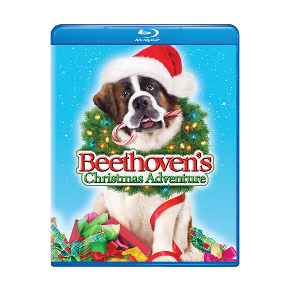 輸入盤ブルーレイですが日本のブルーレイ・プレイヤーで視聴できます。※ご確認ください※一部輸入版アニメブルーレイには、「リージョンコード」とは別の「国コード」というものが設定されている作品がございます。お持ちのブルーレイ・プレイヤーが国コード...