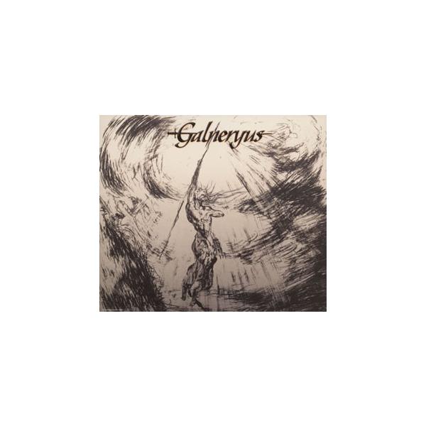 【発売日：2005年03月23日】【品番】 VPCC-81510【JAN】 4988021815109【発売日】 2005年03月23日【アーティスト】ガルネリウス【収録内容】(1)Stillness dawn(2)Silent revel...