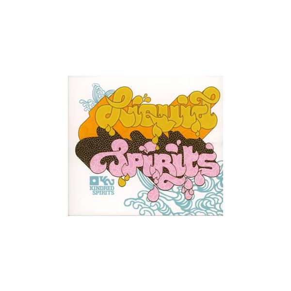 【発売日：2010年08月11日】【品番】 PCD-2628【JAN】 4995879026281【発売日】 2006年02月17日【アーティスト】リキッド・スピリッツ【収録内容】(1)INTRO(2)DESTINY(3)HEAVENLY(...