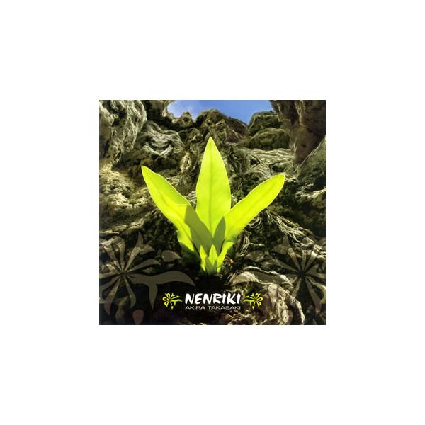 【発売日：2006年09月20日】【品番】 TNCH-18【JAN】 4538736210180【発売日】 2006年09月20日【アーティスト】高崎晃【収録内容】(1)SURF TRIP(2)MARS(3)I WANT TO TAKE Y...