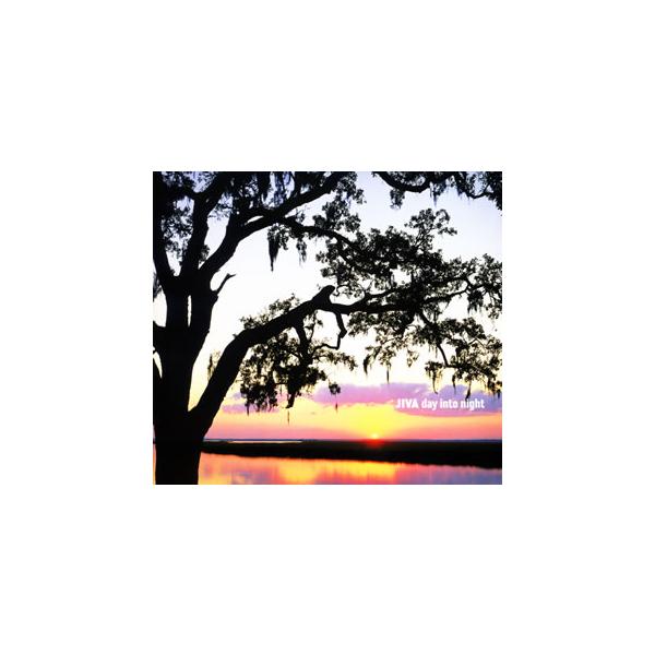 【発売日：2007年04月20日】【品番】 PCD-23908【JAN】 4995879239087【発売日】 2007年04月20日【アーティスト】ジーヴァ【収録内容】(1)Mantra2(Visions of a New World)(...