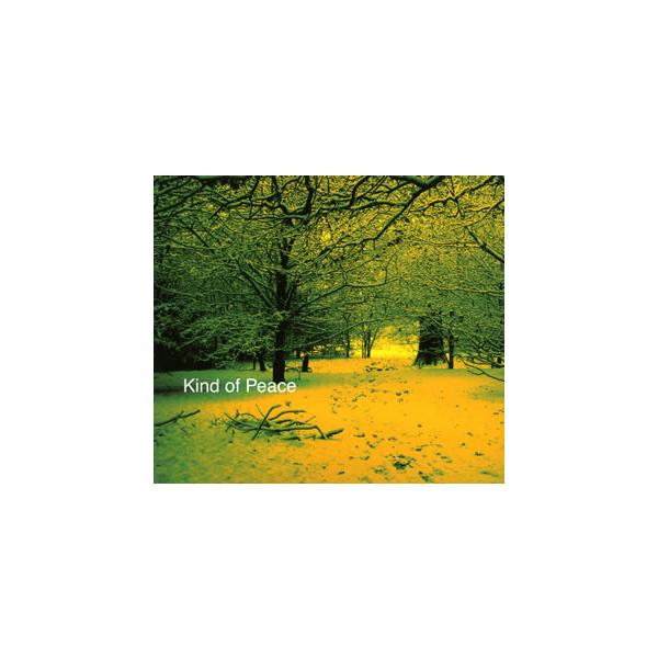 【発売日：2007年12月05日】【品番】 PCD-93027【JAN】 4995879930274【発売日】 2007年12月05日【アーティスト】パット・ディー&amp;レディー・パラドックス【収録内容】(1)Intro(2)Persp...