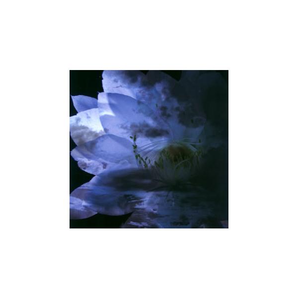 【発売日：2007年12月19日】【品番】 AVCD-23430【JAN】 4988064234301【発売日】 2007年12月19日【収録内容】(1)Dejavu(ムック)(2)Sweetest Coma Again(abingdon ...