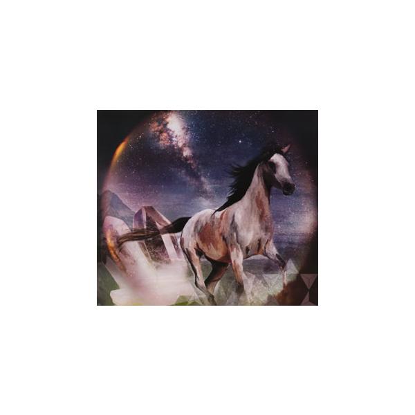 【発売日：2009年07月15日】【品番】 PCD-93276【JAN】 4995879932766【発売日】 2009年07月15日【アーティスト】デコーダー・リング【収録内容】(1)Beat The Twilight(2)They Bl...