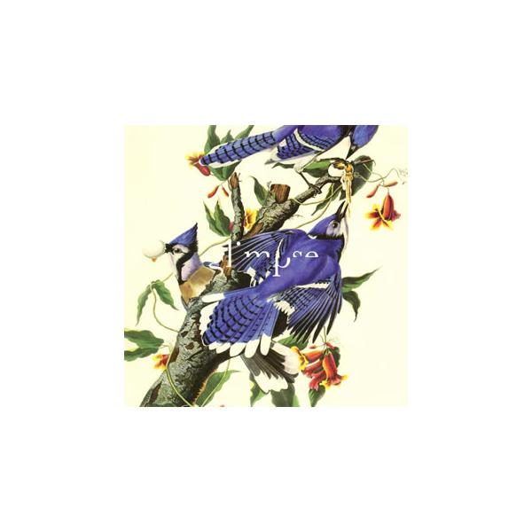 【発売日：2009年08月05日】【品番】 PCD-93270【JAN】 4995879932704【発売日】 2009年08月05日【アーティスト】グリンプス【収録内容】(1)Pushing Claude(2)Misunderstood(...