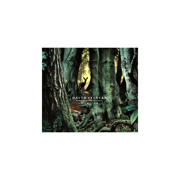 【発売日：2009年09月23日】【品番】 PVCP-8616【JAN】 4995879086162【発売日】 2009年09月23日【アーティスト】デヴィッド・シルヴィアン【収録内容】(1)SMALL METAL GODS(2)THE R...