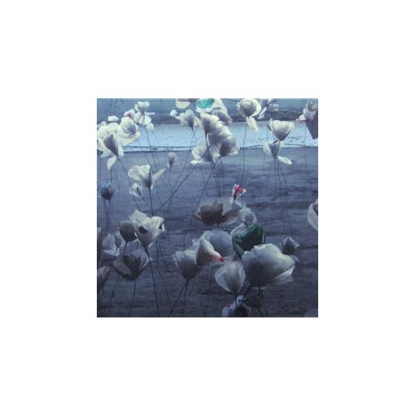 【発売日：2009年09月16日】【品番】 HEADZ-133【JAN】 4941135331330【発売日】 2009年09月16日【アーティスト】オシレータ【収録内容】(1)幻日(2)blue(3)aki:ya:on(4)赤と黒の夜明け...
