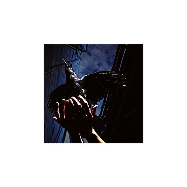 【発売日：2009年09月30日】【品番】 TOCT-26889【JAN】 4988006221185【発売日】 2009年09月30日【アーティスト】9mm Parabellum Bullet【収録内容】(1)Cold Edge e.p....