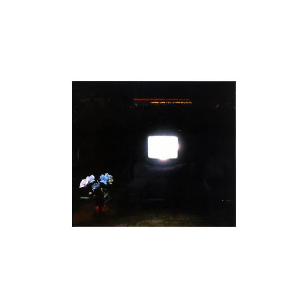 【発売日：2010年08月18日】【品番】 PCD-24259【JAN】 4995879242599【発売日】 2010年08月18日【アーティスト】エメラルズ【収録内容】(1)CANDY SHOPPE(2)THE CYCLE OF ABU...