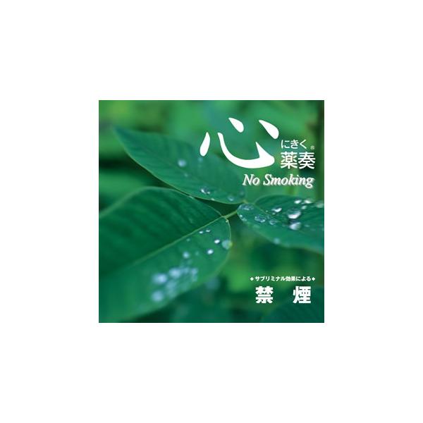 【発売日：2003年03月27日】【品番】 GEAA-1016【発売日】 2003年03月27日【収録内容】(1)Morning Haze(2)Mountain Range(3)Distant View(4)Atmosphere(5)Sti...