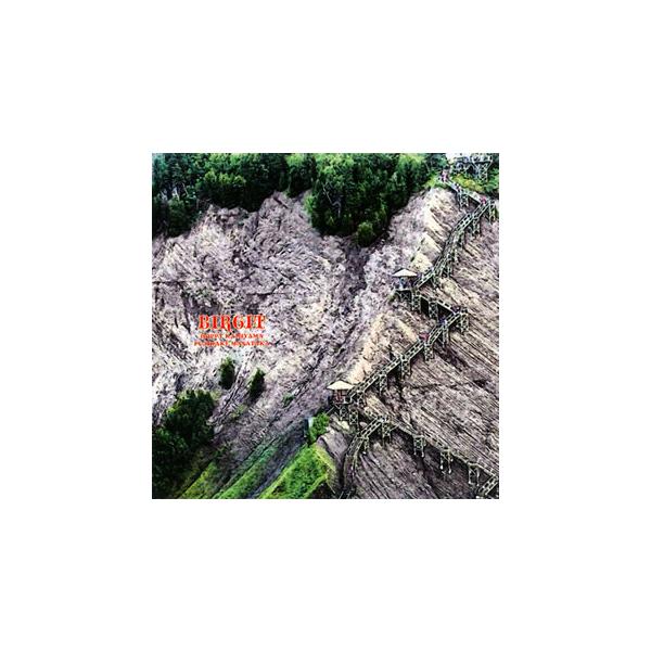 【発売日：2010年11月25日】【品番】 FDR-2012【JAN】 4582237820638【発売日】 2010年11月25日【アーティスト】ホッピー神山×藤掛正隆デュオ|ホッピー神山|藤掛正隆【収録内容】(1)Balloon(2)B...