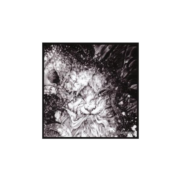 【発売日：2010年12月22日】【品番】 YOUTH-110【JAN】 4571209815260【発売日】 2010年12月22日【アーティスト】Homosapiens【収録内容】(1)Silent dawn(2)夜ノ歌(3)影と光(4...