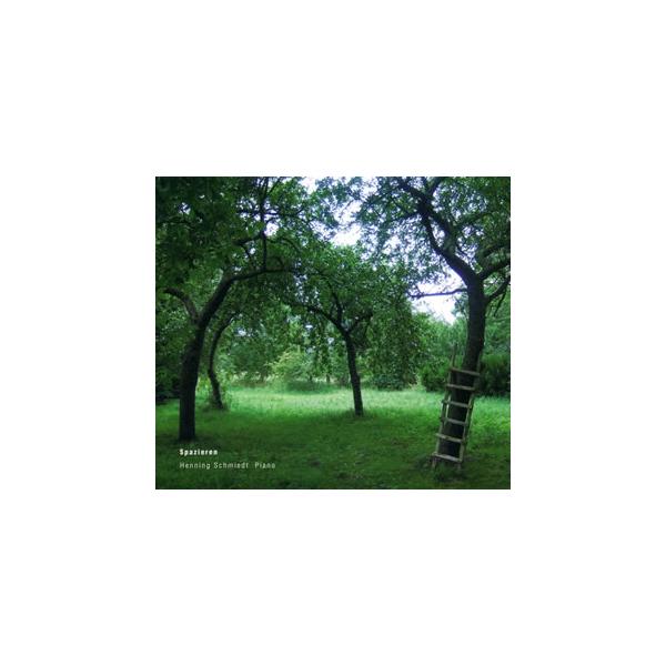 【発売日：2011年10月19日】【品番】 FLAU-23【JAN】 4941135369265【発売日】 2011年10月19日【アーティスト】Henning Schmiedt【収録内容】(1)Der Regen hat aufgehor...