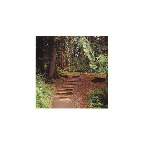 【発売日：2012年11月14日】【品番】 ARTPL-031【JAN】 4941135452318【発売日】 2012年11月14日【アーティスト】ティーン・デイズ【収録内容】(1)New Life(2)Divided Loyalties...