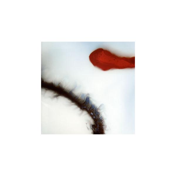 【発売日：2012年12月19日】【品番】 PCD-20258【JAN】 4995879202586【発売日】 2012年12月19日【アーティスト】スタボーン・ハート【収録内容】(1)Penetrate(2)Better Than Thi...