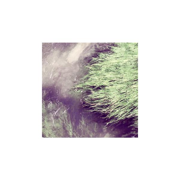 【発売日：2013年01月23日】【品番】 PCD-18696【JAN】 4995879186961【発売日】 2013年01月23日【アーティスト】オン・アン・オン【収録内容】(1)GHOSTS(2)EVERY SONG(3)AMERIC...