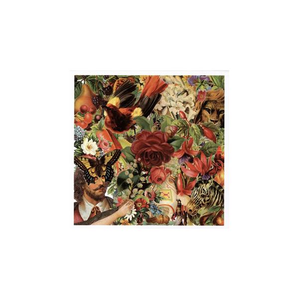 【発売日：2013年02月13日】【品番】 XQER-1052【JAN】 4560224310904【発売日】 2013年02月13日【アーティスト】プリティ&amp;ナイス【収録内容】(1)HIBERNATE(2)YONKERS(3)HY...