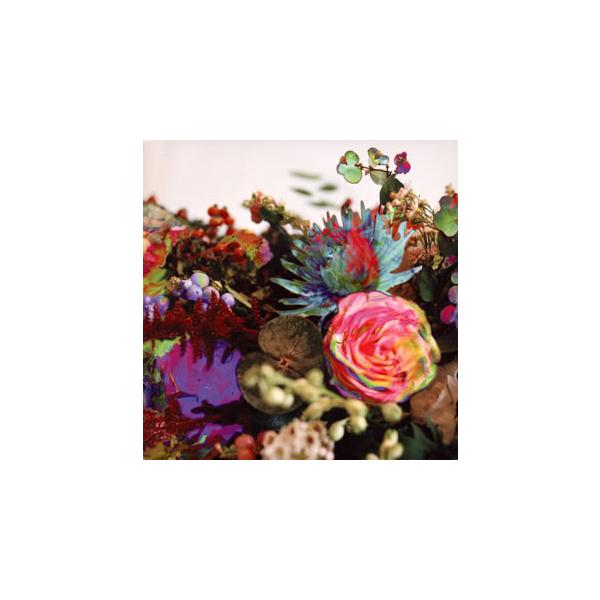 【発売日：2013年01月23日】【品番】 BRC-360【JAN】 4523132118604【発売日】 2013年01月23日【アーティスト】ダークスター【収録内容】(1)Light Body Clock Starter(2)Timea...