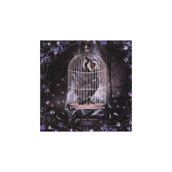 【発売日：2013年07月10日】【品番】 TWLT-0081【JAN】 4580300419901【発売日】 2013年07月10日【アーティスト】HYPE THEORY【収録内容】(1)CAPTIVES(2)HEARTSICK(3)IF...