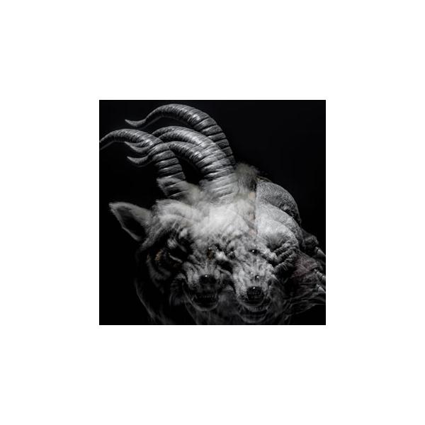 【発売日：2013年10月23日】【品番】 SRCL-8358【JAN】 4988009086590【発売日】 2013年10月23日【アーティスト】ガゼット【収録内容】(1)MALFORMED BOX(2)INSIDE BEAST(3)U...