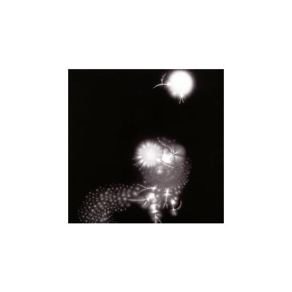 【発売日：2014年02月07日】【品番】 MFEL-2003【JAN】 4571385120035【発売日】 2014年02月07日【アーティスト】Jikki【収録内容】(1)いろはうた|Transient(2)守護神|The Sacre...