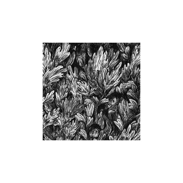 【発売日：2014年06月04日】【品番】 FLAKES-103【JAN】 4571207711038【発売日】 2014年06月04日【アーティスト】ゴー!ジーラ【収録内容】(1)GRABBING A CROCODILE(2)SEE ME...