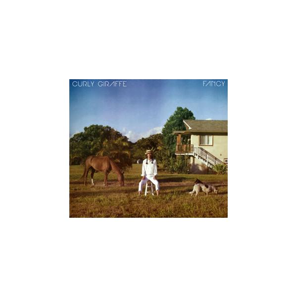 【発売日：2014年08月06日】【品番】 VICL-64192【JAN】 4988002675494【発売日】 2014年08月06日【アーティスト】Curly Giraffe【収録内容】(1)Fake Engagement Ring(2...