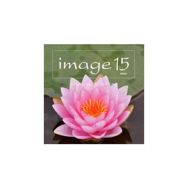 【発売日：2015年02月11日】【品番】 SICC-30202【JAN】 4547366230987【発売日】 2015年02月11日【収録内容】(1)NHK大河ドラマ「軍師官兵衛」〜軍師官兵衛メイン・テーマ(菅野祐悟)(2)花は咲く〜F...