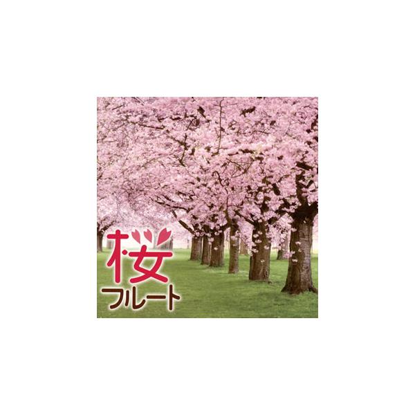 【発売日：2016年02月03日】【品番】 COCQ-85284【JAN】 4988001787075【発売日】 2016年02月03日【収録内容】(1)桜坂(2)桜の時(3)手紙〜拝啓十五の君へ〜(4)SAKURA(5)チェリー(6)桜の...