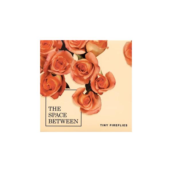 【発売日：2016年02月03日】【品番】 ARTNT-019【JAN】 4941135453193【発売日】 2016年02月03日【アーティスト】タイニー・ファイアーフライズ【収録内容】(1)Stay(2)Taken(3)Ghost(4...