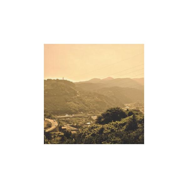 【発売日：2016年04月13日】【品番】 WPMC-031【JAN】 4941135980637【発売日】 2016年04月13日【アーティスト】宮田涼介【収録内容】(1)Until The Rise Of The Sun(2)Morni...