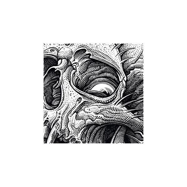 【発売日：2017年03月08日】【品番】 MXMM-10055【JAN】 4571483885553【発売日】 2017年03月08日【アーティスト】SHADOWS【収録内容】［1］(1)All I Want(2)Chain Reacti...