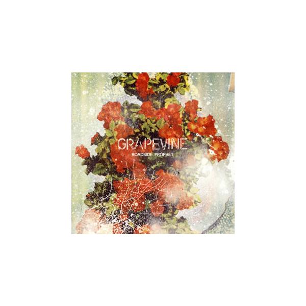 【発売日：2017年09月06日】【品番】 VICL-64820【JAN】 4988002738175【発売日】 2017年09月06日【アーティスト】GRAPEVINE【収録内容】(1)Arma(2)ソープオペラ(3)Shame(4)これ...