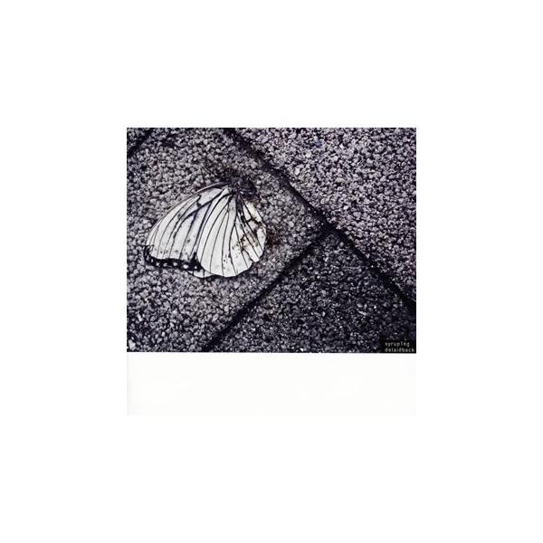 【発売日：2017年11月08日】【品番】 UKDZ-0190【JAN】 4514306013870【発売日】 2017年11月08日【アーティスト】Syrup16g【収録内容】(1)光のような(2)透明な日(3)Star Slave(4)...