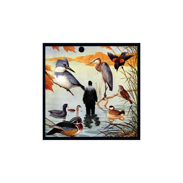 【発売日：2018年04月18日】【品番】 PCD-20392【JAN】 4995879203927【発売日】 2018年04月18日【アーティスト】ノーツイスト【収録内容】(1)Good Lies(2)Where In This Worl...