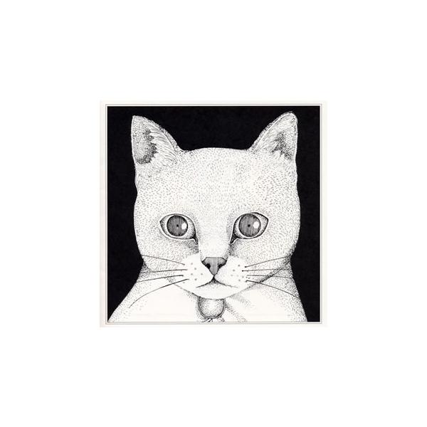 【発売日：2018年12月05日】【品番】 PCD-18855【JAN】 4995879188552【発売日】 2018年12月05日【アーティスト】テンテンコ【収録内容】(1)ねこの森には帰れない(2)シャム猫の歌(The Siamese...