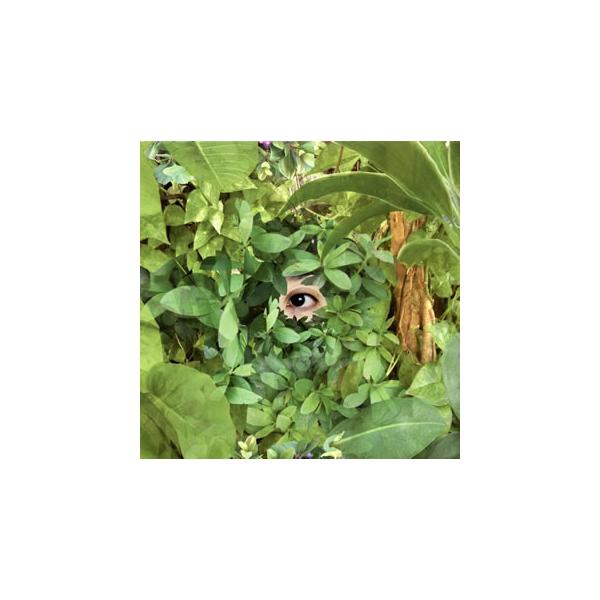 【発売日：2018年12月21日】【品番】 EM-1182CD【JAN】 4560283211822【発売日】 2018年12月21日【アーティスト】関根真理【収録内容】(1)Beginning(Original long version)...