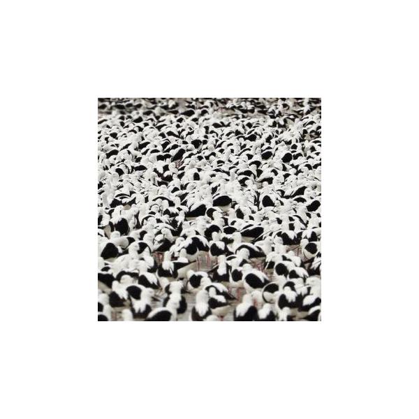 【発売日：2022年08月26日】【品番】 SC-432JCD【JAN】 4526180607496【発売日】 2022年08月26日【アーティスト】ステラ・ドネリー【収録内容】(1)LUNGS(2)HOW WAS YOUR DAY?(3)...