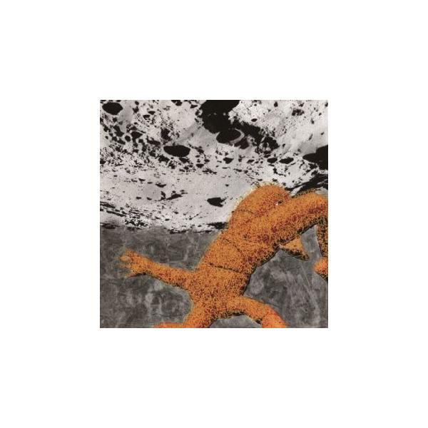 【発売日：2023年06月07日】【品番】 PVLN-1【JAN】 4522197146690【発売日】 2023年06月07日【アーティスト】pavilion【収録内容】(1)RACE TO THE HEAVENS(2)Hit-or-Mi...