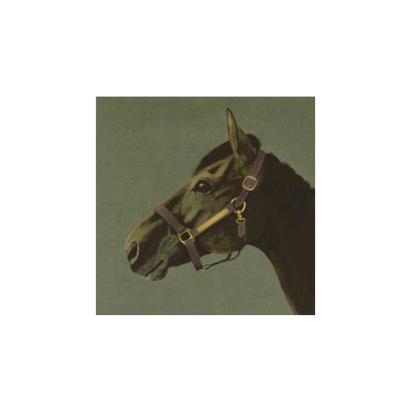 【発売日：2025年10月22日】