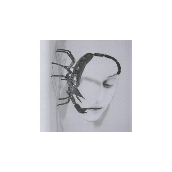 【発売日：2025年11月05日】