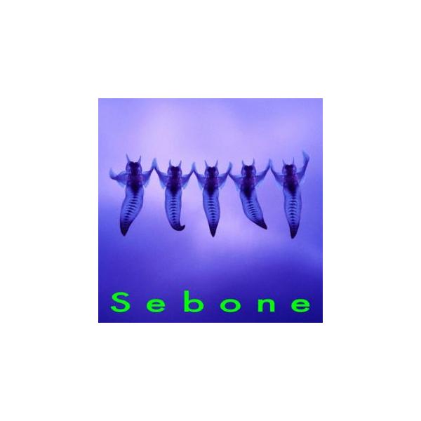 【発売日：2026年03月25日】【品番】 PCCA-6464【JAN】 4524135289377【発売日】 2026年03月25日【アーティスト】とた【収録内容】(1)あげない(新録の楽曲を8曲収録/曲順未定)【関連キーワード】：とた|...