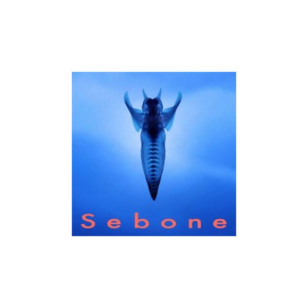 【発売日：2026年03月25日】【品番】 PCCA-6465【JAN】 4524135289384【発売日】 2026年03月25日【アーティスト】とた【収録内容】(1)カメラロール(2)寄り道(3)紡ぐ(Wind Orchestra V...