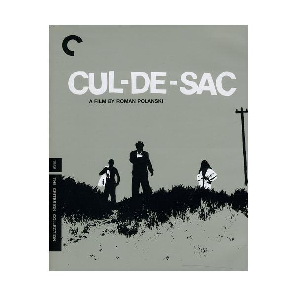 輸入盤ブルーレイですが日本のブルーレイ・プレイヤーで視聴できます。※ご確認ください※一部輸入版アニメブルーレイには、「リージョンコード」とは別の「国コード」というものが設定されている作品がございます。お持ちのブルーレイ・プレイヤーが国コード...