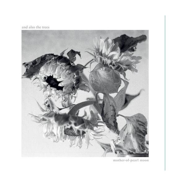 2024/3/1 発売ＵＫ盤レーベル： AND ALSO THE TREES収録曲：